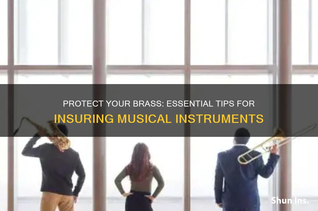 Protect Your Brass: Essential Tips For Insuring Musical Instruments ...