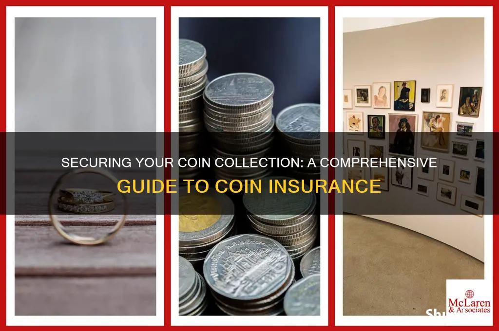 Securing Your Coin Collection: A Comprehensive Guide To Coin Insurance ...