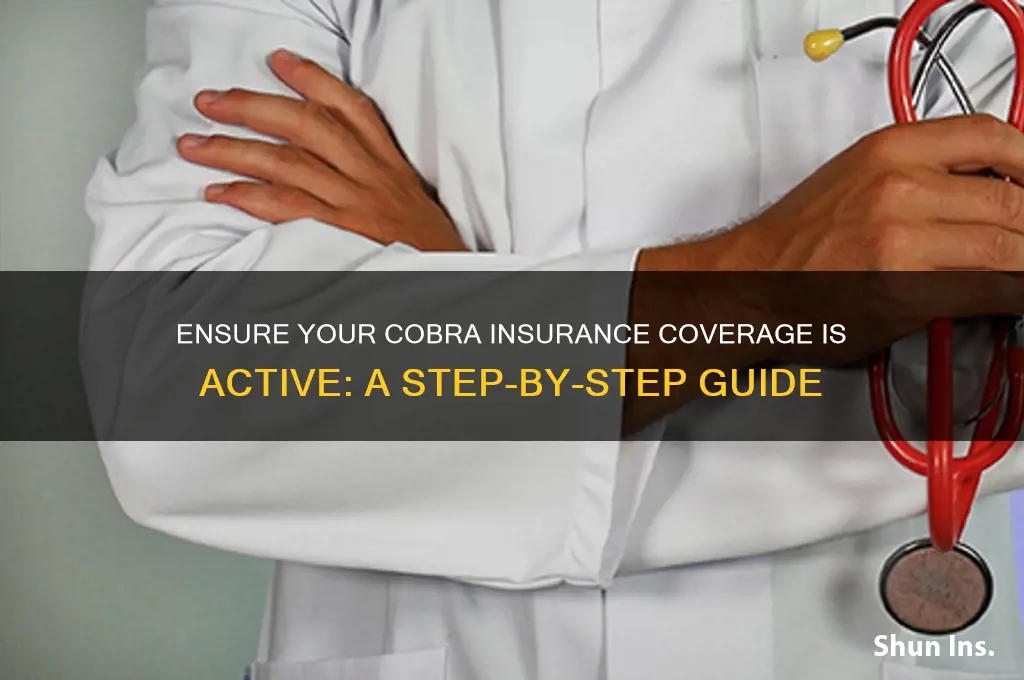 Ensure Your Cobra Insurance Coverage Is Active: A Step-By-Step Guide ...
