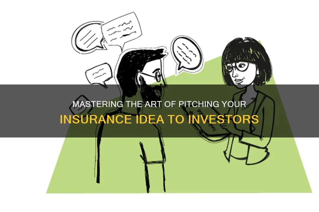 Mastering The Art Of Pitching Your Insurance Idea To Investors | ShunIns