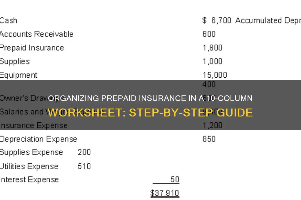 Organizing Prepaid Insurance In A 10-Column Worksheet: Step-By-Step ...