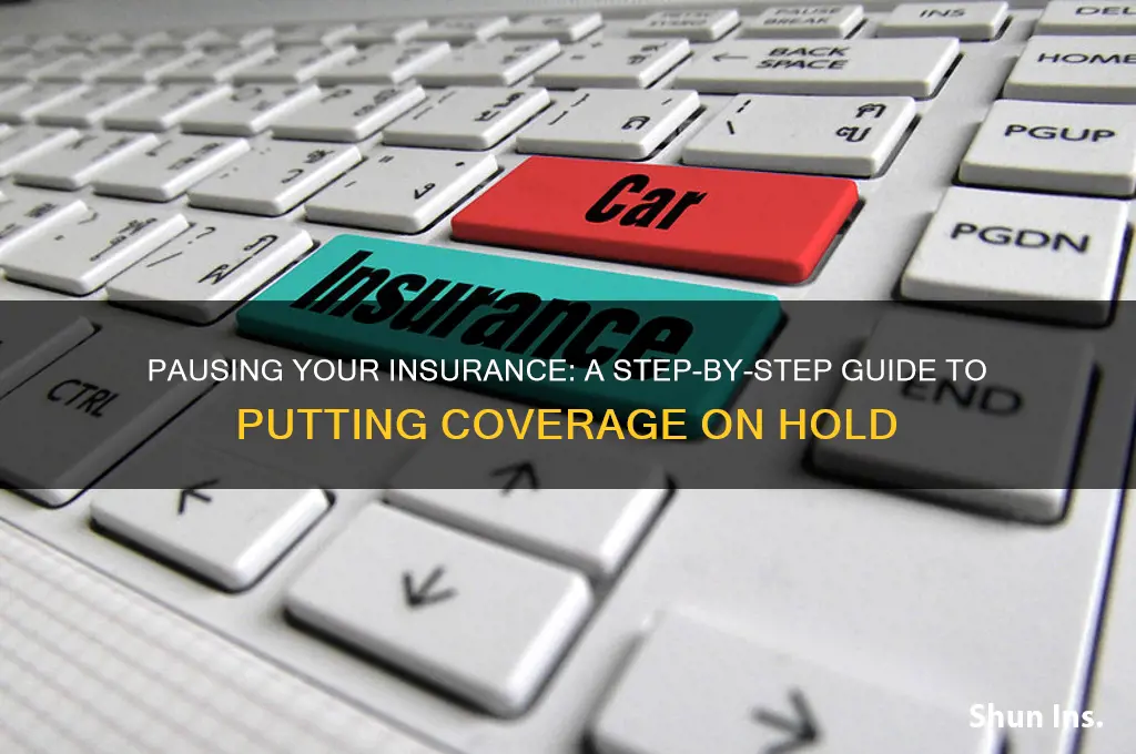 Pausing Your Insurance: A Step-By-Step Guide To Putting Coverage On ...
