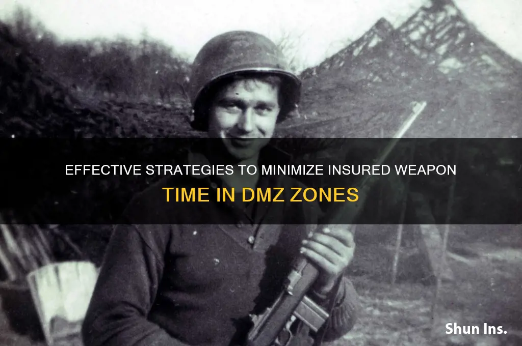 Effective Strategies To Minimize Insured Weapon Time In Dmz Zones | ShunIns