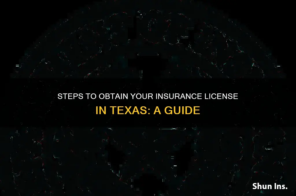 Steps To Obtain Your Insurance License In Texas: A Guide | ShunIns