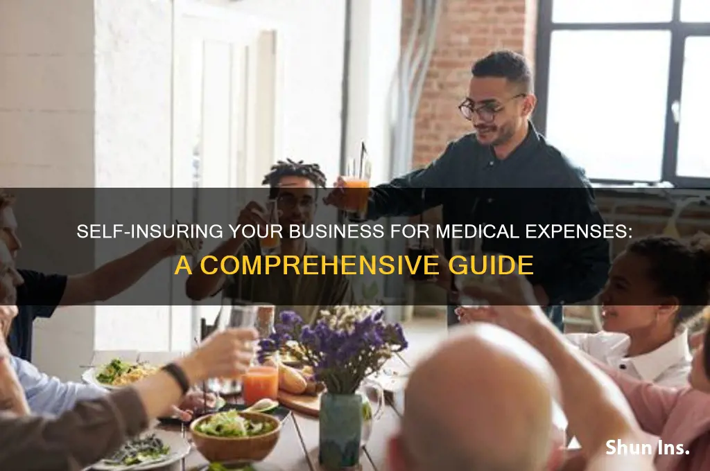 Self-Insuring Your Business For Medical Expenses: A Comprehensive Guide ...