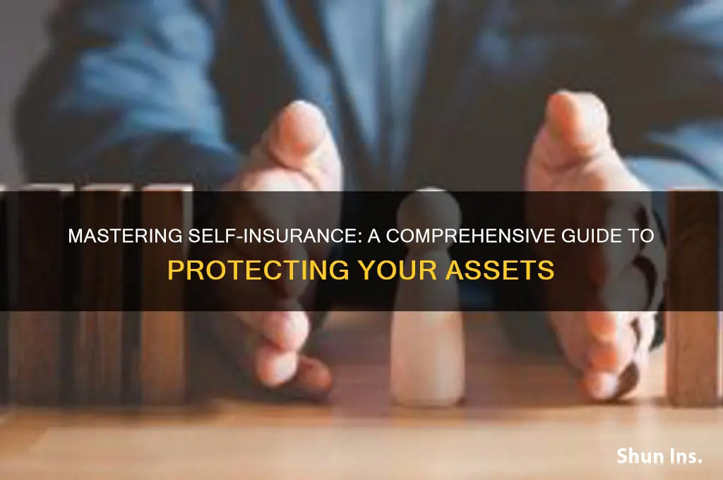 Mastering Self-Insurance: A Comprehensive Guide To Protecting Your ...