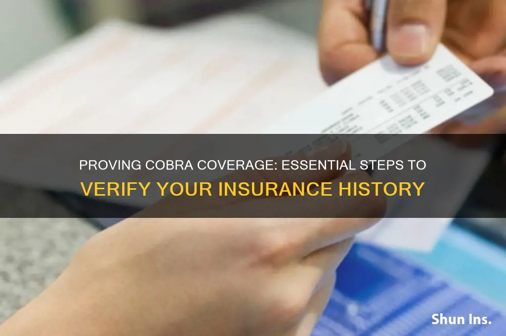 Proving Cobra Coverage: Essential Steps To Verify Your Insurance ...