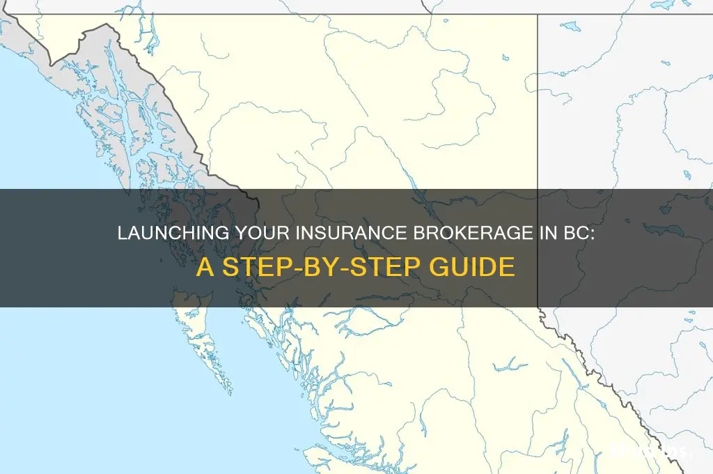 Launching Your Insurance Brokerage In Bc: A Step-By-Step Guide | ShunIns