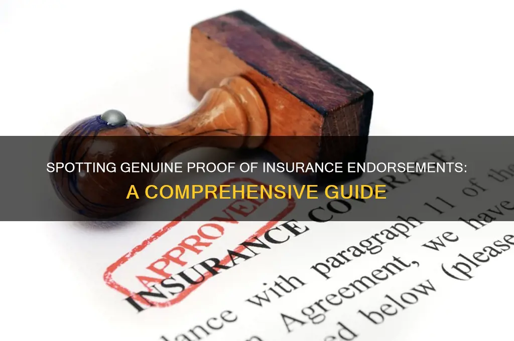 Spotting Genuine Proof Of Insurance Endorsements: A Comprehensive Guide ...