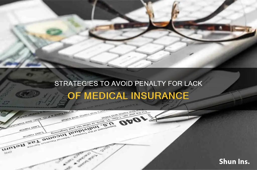 Strategies To Avoid Penalty For Lack Of Medical Insurance | ShunIns