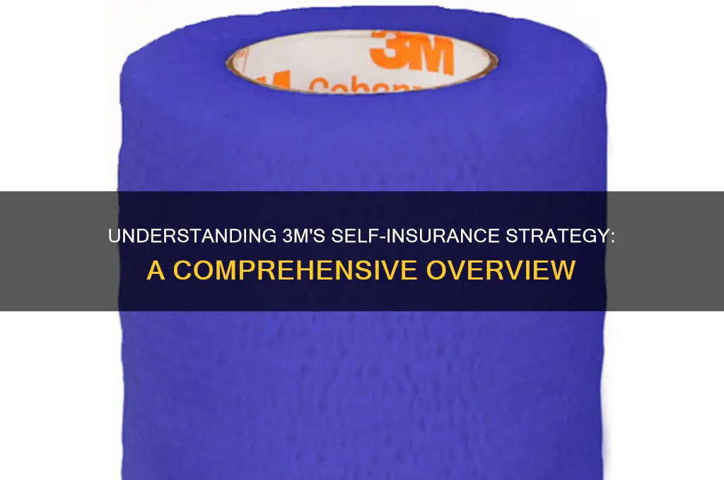 Understanding 3M's Self-Insurance Strategy: A Comprehensive Overview ...