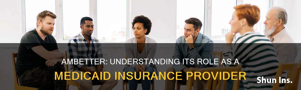 Ambetter: Understanding Its Role As A Medicaid Insurance Provider | ShunIns