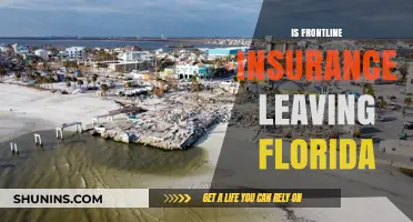 Updating Your Insurance: Florida Dmv Guide | ShunIns
