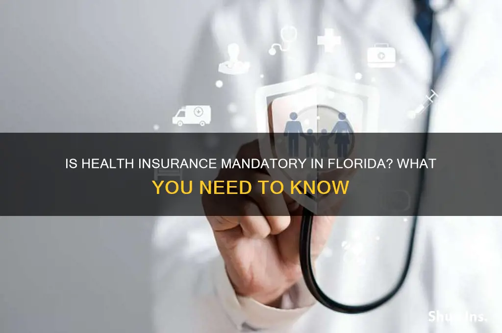 Is Health Insurance Mandatory In Florida? What You Need To Know | ShunIns
