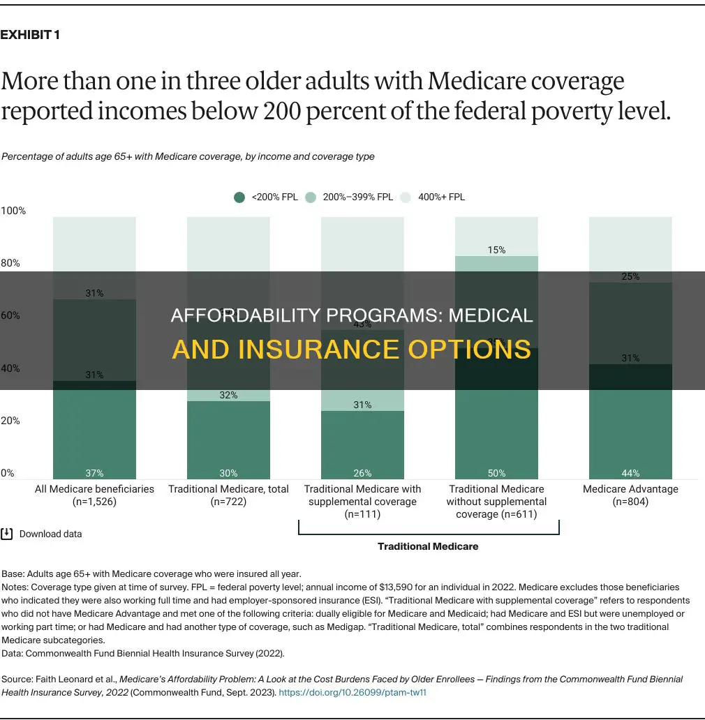 Affordability Programs: Medical And Insurance Options | ShunIns