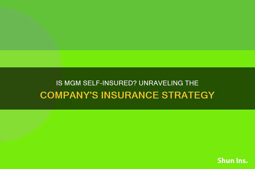 Is Mgm Self-Insured? Unraveling The Company's Insurance Strategy | ShunIns
