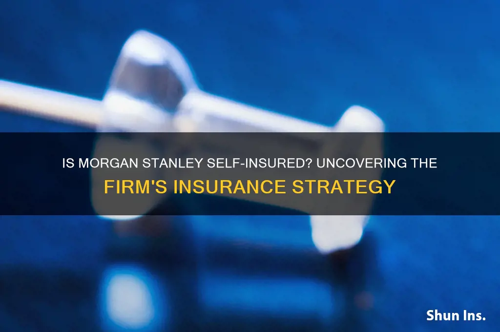 Is Morgan Stanley Self-Insured? Uncovering The Firm's Insurance ...