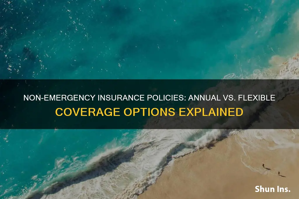 Non-Emergency Insurance Policies: Annual Vs. Flexible Coverage Options ...