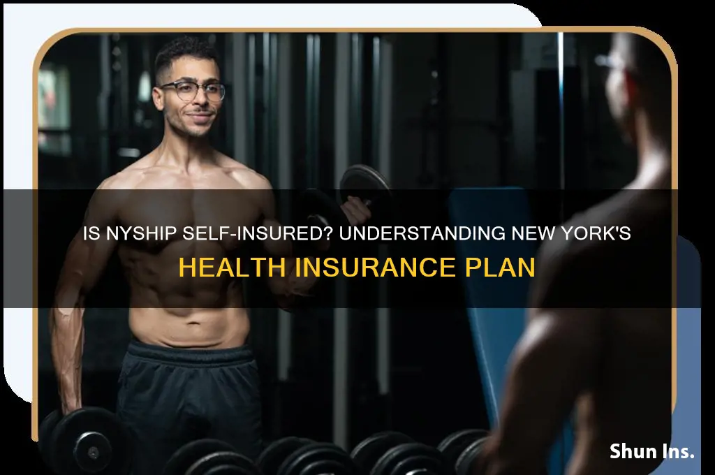 Is Nyship Self-Insured? Understanding New York's Health Insurance Plan ...