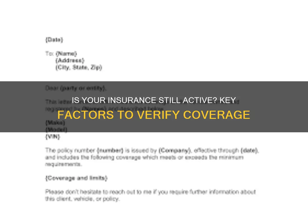 Is Your Insurance Still Active? Key Factors To Verify Coverage | ShunIns