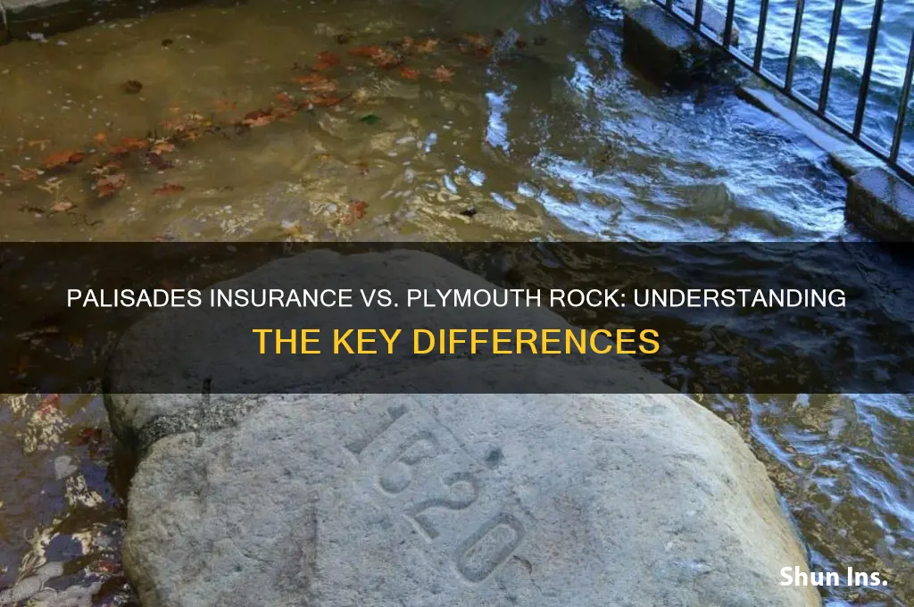 Palisades Insurance Vs. Plymouth Rock: Understanding The Key ...