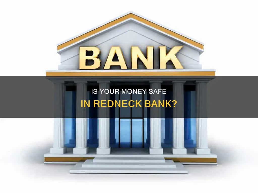 Is Your Money Safe In Redneck Bank? | ShunIns