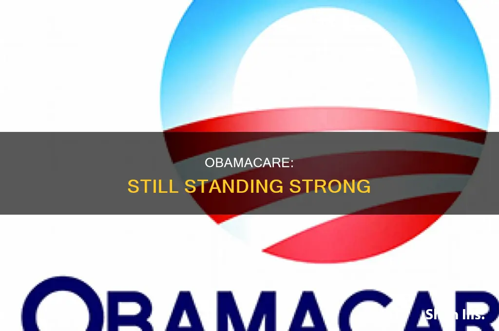 Obamacare: Still Standing Strong | ShunIns