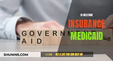 Wellcare Insurance: Understanding Its Link With Medicaid | ShunIns