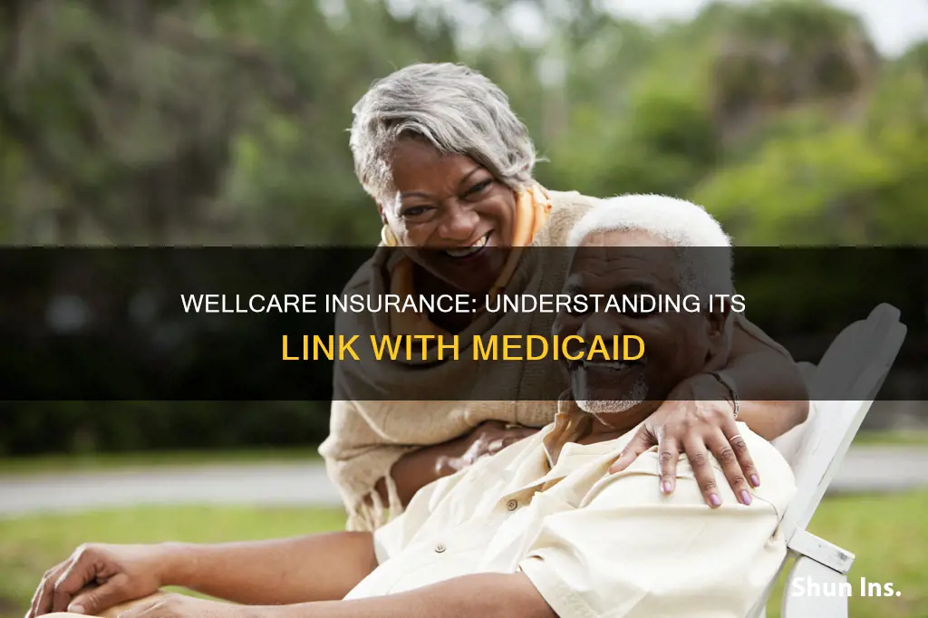 Wellcare Insurance: Understanding Its Link With Medicaid | ShunIns