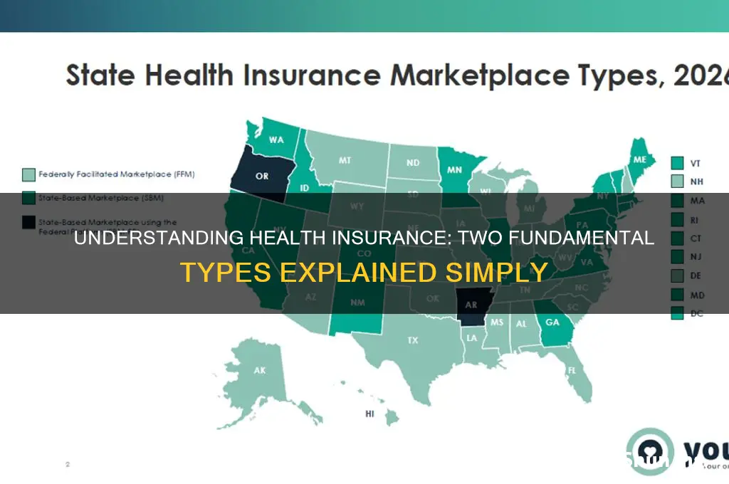 Understanding Health Insurance: Two Fundamental Types Explained Simply ...