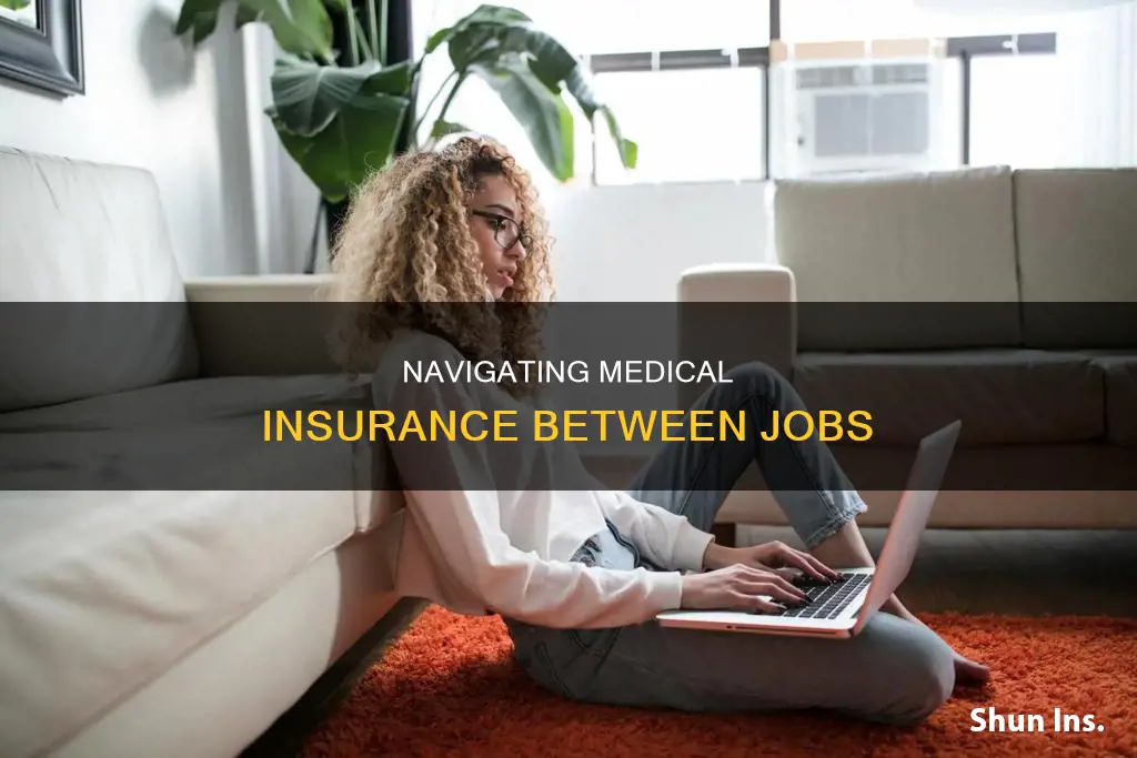 Navigating Medical Insurance Between Jobs | ShunIns