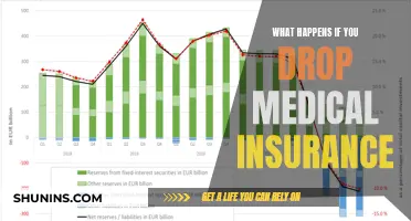 Understanding Your Medical Insurance Deductible: What Happens Next ...