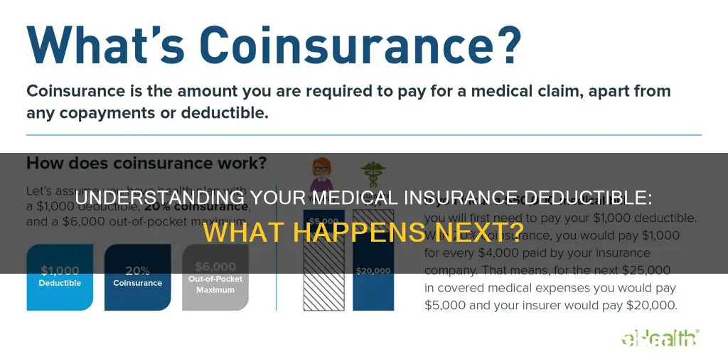 Understanding Your Medical Insurance Deductible: What Happens Next ...