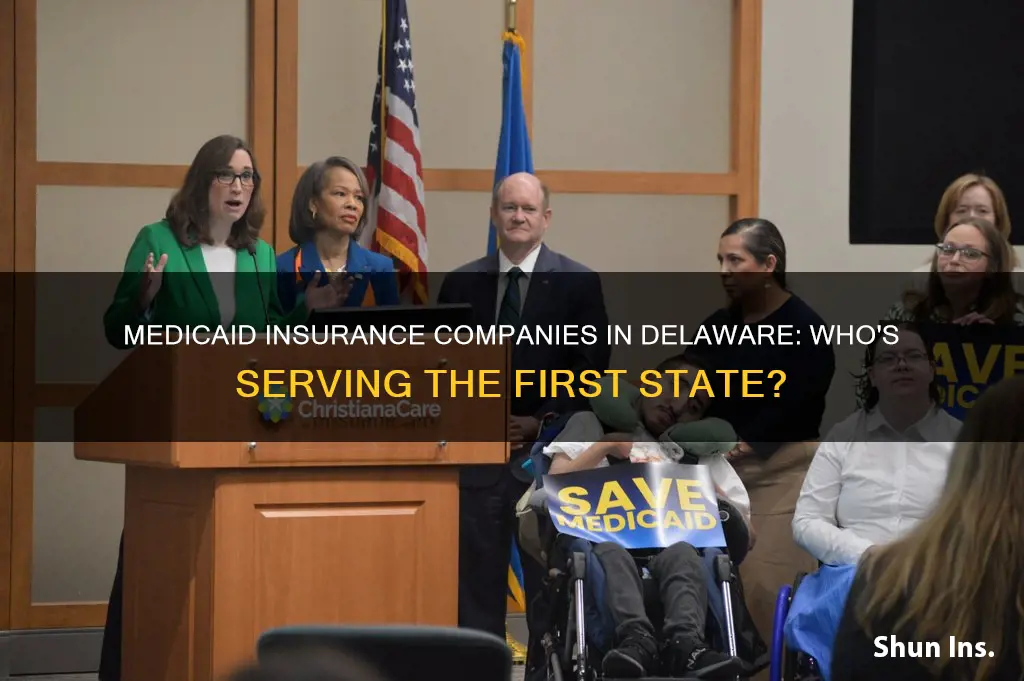 Medicaid Insurance Companies In Delaware: Who's Serving The First State ...
