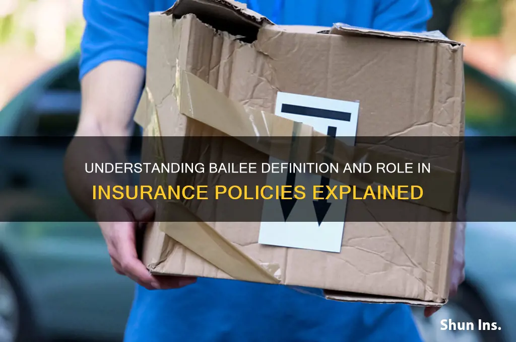 Understanding Bailee Definition And Role In Insurance Policies ...