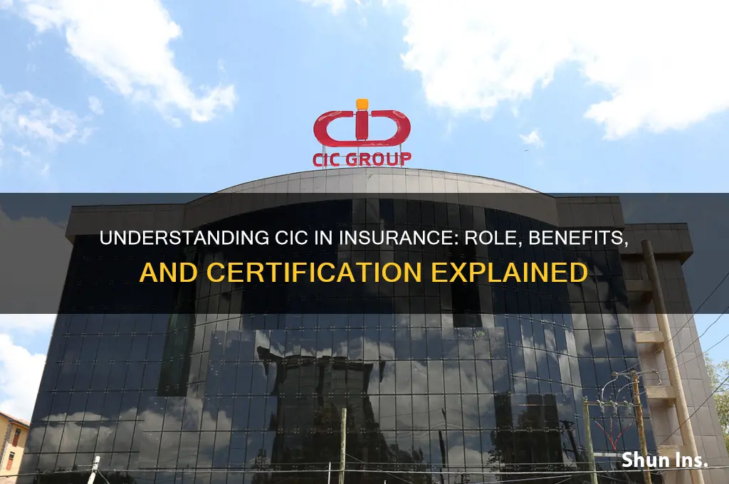Understanding Cic In Insurance: Role, Benefits, And Certification ...