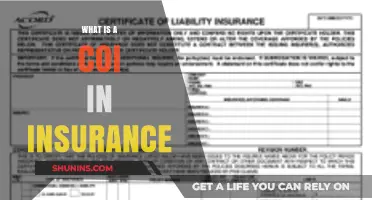 Understanding Umr Insurance: Coverage, Benefits, And How It Works | ShunIns