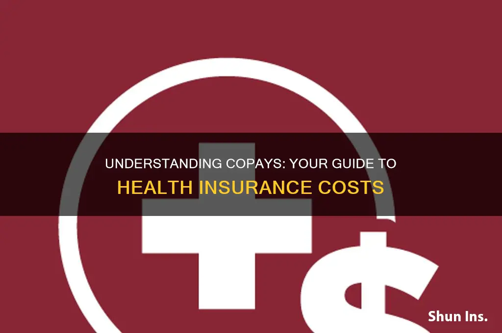 Understanding Copays: Your Guide To Health Insurance Costs | ShunIns