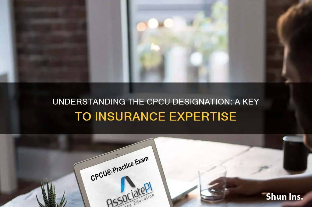 Understanding The Cpcu Designation: A Key To Insurance Expertise | ShunIns