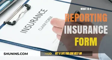 Statutory Reporting: Insurance's Financial Reporting Requirements | ShunIns