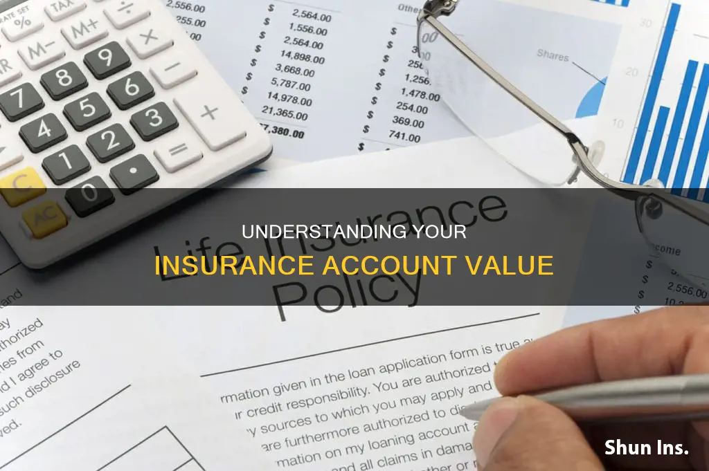 Understanding Your Insurance Account Value | ShunIns