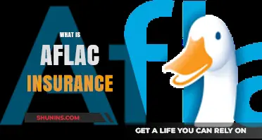 Understanding Aflac: Benefits, Coverage, And How It Works For You | ShunIns