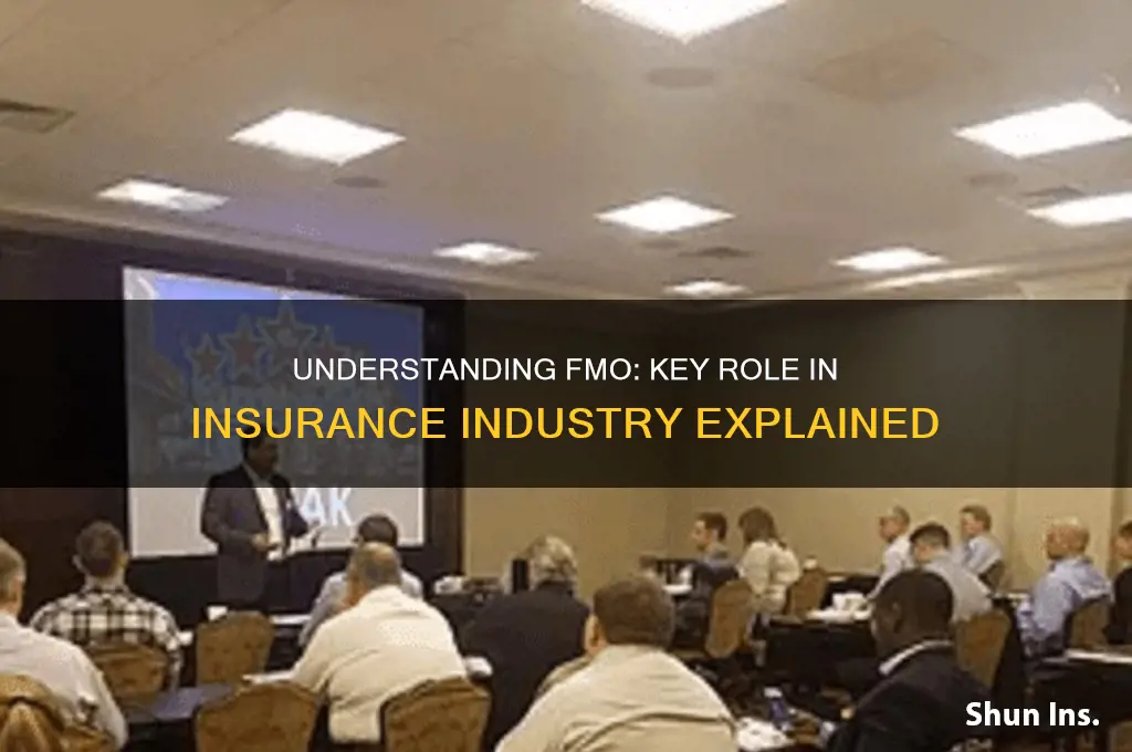 Understanding Fmo: Key Role In Insurance Industry Explained | ShunIns