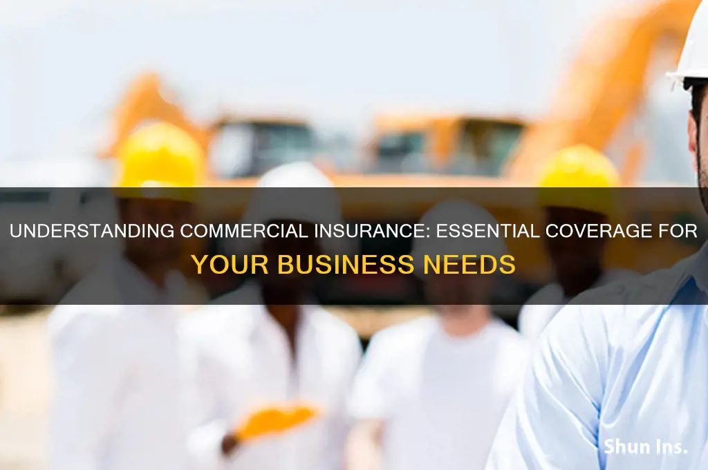 Understanding Commercial Insurance: Essential Coverage For Your ...