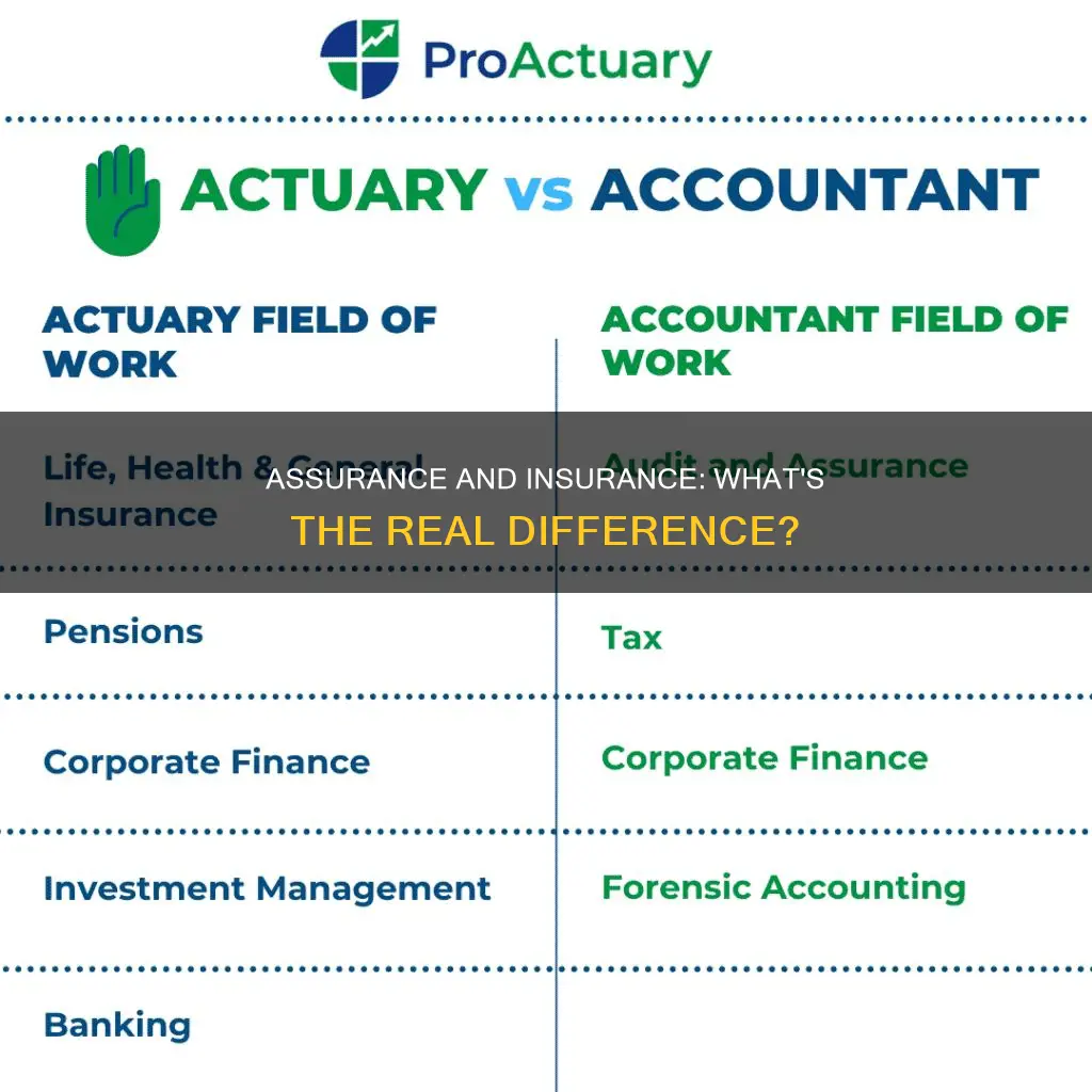 Assurance And Insurance: What's The Real Difference? | ShunIns
