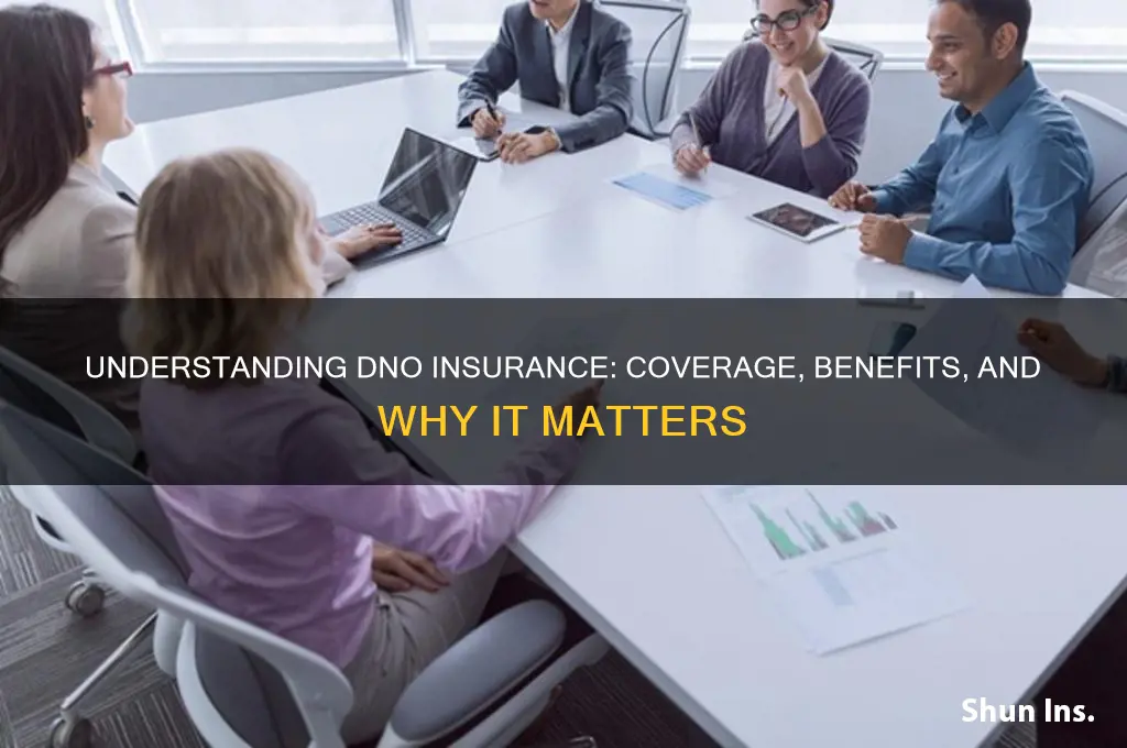 Understanding Dno Insurance: Coverage, Benefits, And Why It Matters ...
