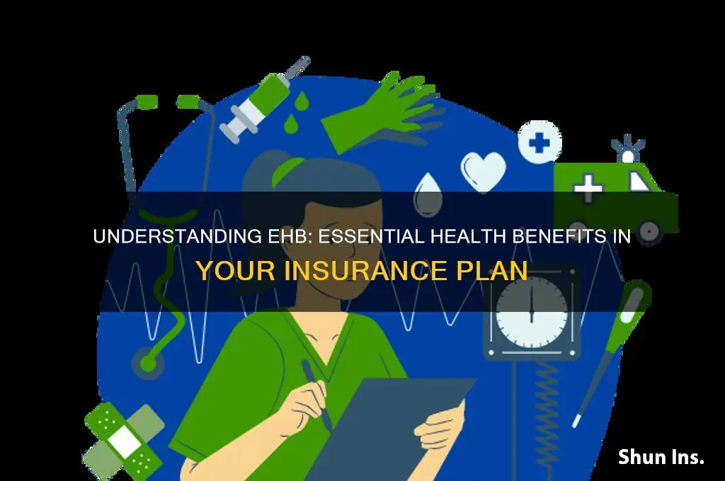 Understanding Ehb: Essential Health Benefits In Your Insurance Plan ...