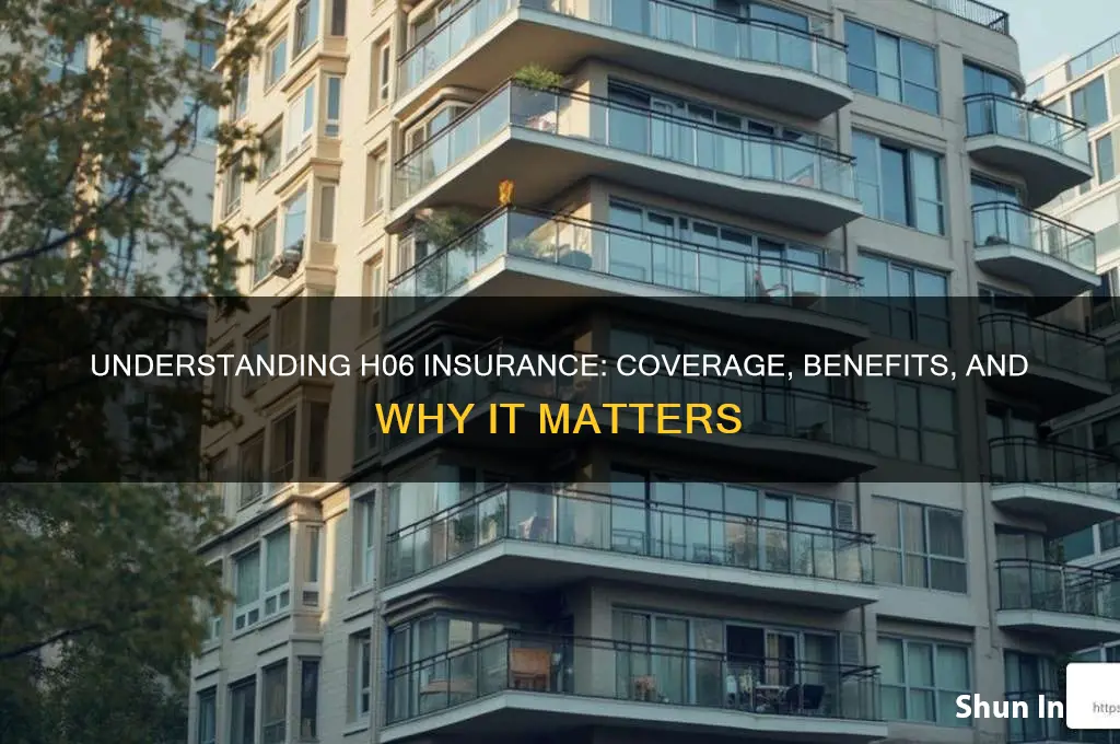 Understanding H06 Insurance: Coverage, Benefits, And Why It Matters ...