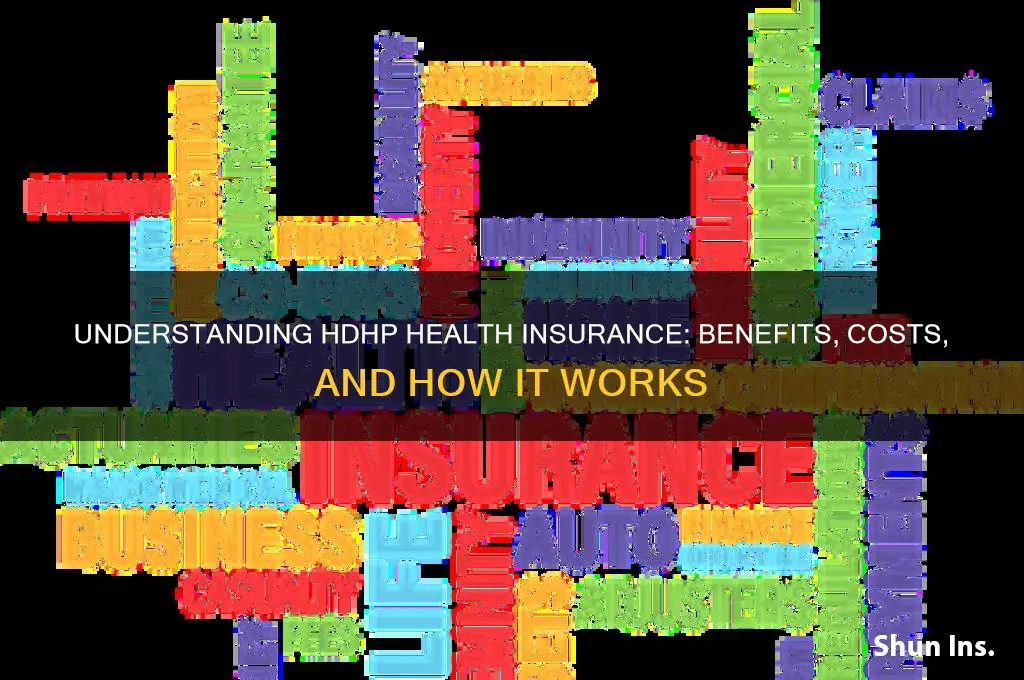 Understanding Hdhp Health Insurance: Benefits, Costs, And How It Works ...