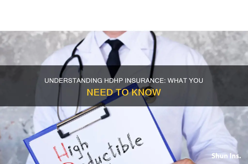 Understanding Hdhp Insurance: What You Need To Know | ShunIns